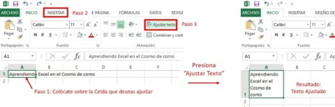 Cómo hacer que un Texto QUEPA en una Celda de EXCEL