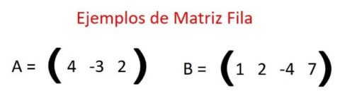 Cómo se Clasifican las Matrices - Cosmo del Como