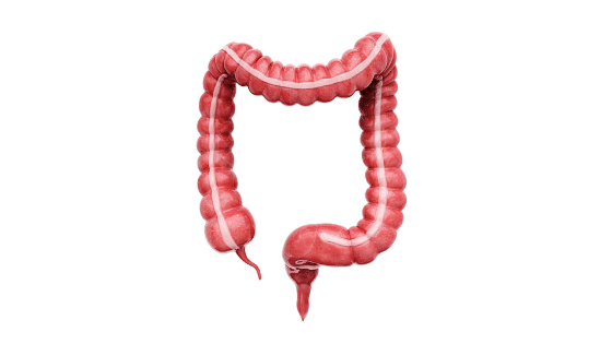 Cómo Saber si tienes Candidiasis Intestinal - Cosmo del Como